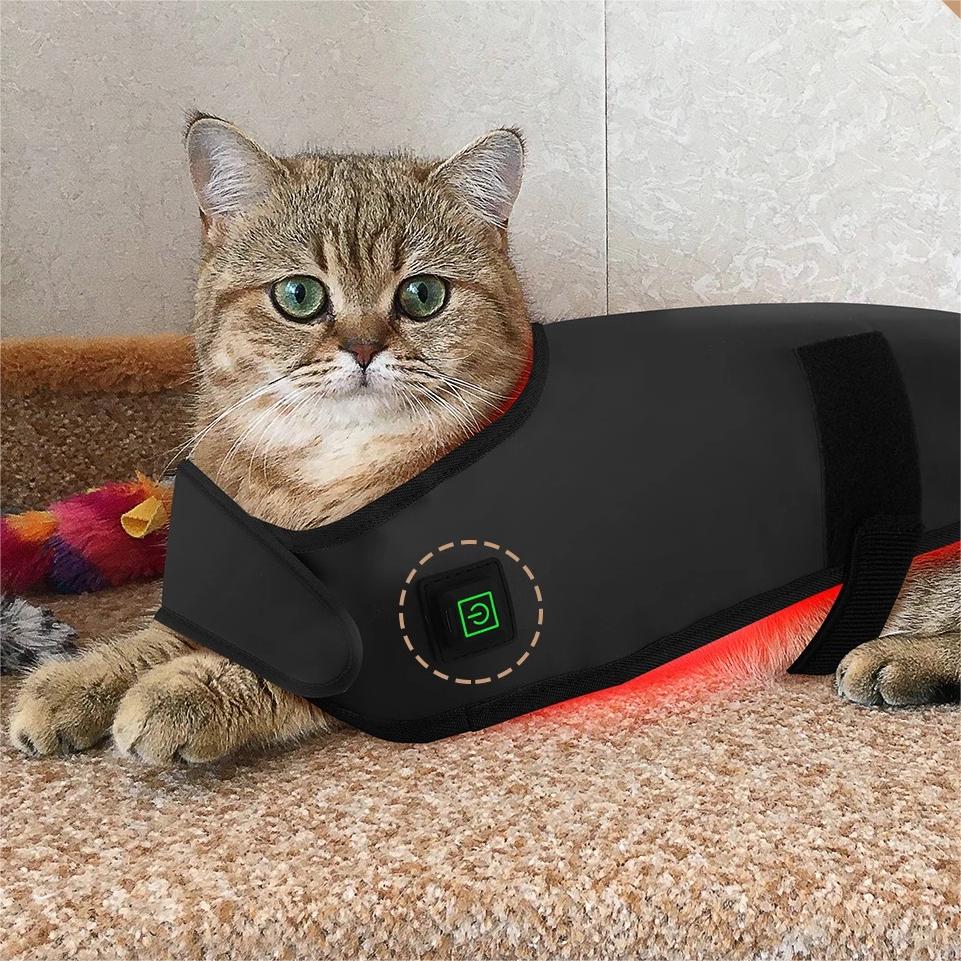 China Red Light Therapy For Pets & Animals Manufacturer